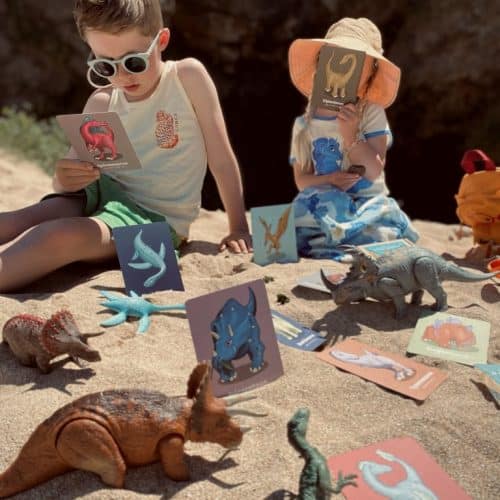 Dinosaurs for childrens learning - buy flashcards | Happy Little Doers