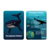 Ocean flashcards - Learn about the Ocean | Happy Little Doers